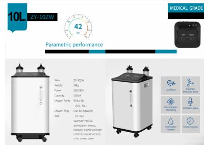 China SGS 96% Purity High Flow Oxygen Machine 10 Liter O2 Oxygen Machine for sale