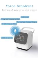 China Outdoor Car Mini 2 Litre Oxygen Concentrator Generator For Room for sale