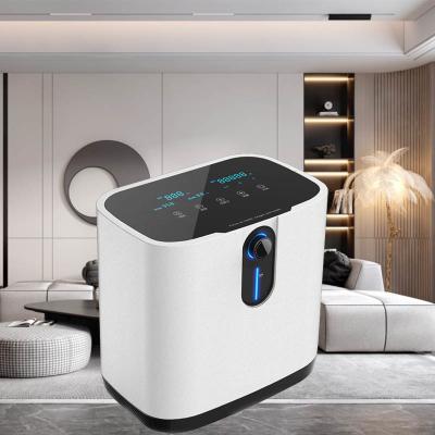 China 1 Liter Oxgen Portable O2 Concentrator Oxygen Generator For Hospital for sale