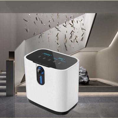 China OEM Medical Hospital 1 Litre Oxygen Concentrator 220v Blender for sale
