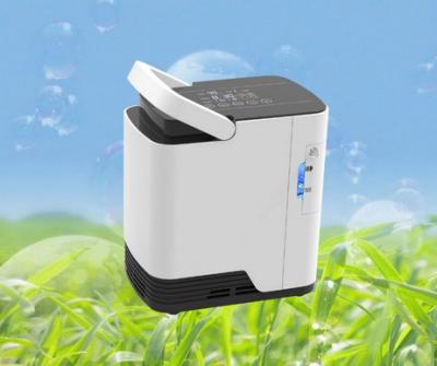 China Single Flow Portable 2 Litre Oxygen Concentrator Home Use 220v for sale