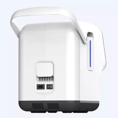 China Adjustable 1 - 7l/Min Household Oxygen Generator Portable 1L With Voice for sale