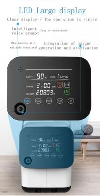 China Portable Household Oxygen Concentrator 1L Medical Grade Household for sale
