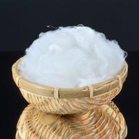 China Polyester Staple Synthetic Chemical Recycled PSF Low Melt Virgin Polyester Fiber Fibre for sale