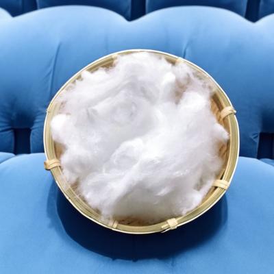 China High Performance Low Melt Polyester Staple Fiber for Textile Innovation for sale