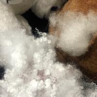 China 64mm Length Solid Polyester Staple Fiber For Filling Mattress / Sofa / Toy for sale