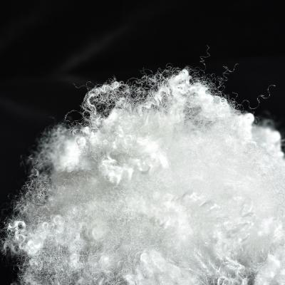 China Hollow Conjugated Siliconized Regenerated Polyester Staple Fiber With Excellent Bulkiness for sale