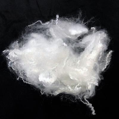 China Regenerated Low Melt Polyester Staple Fiber For Mattress / Sofa FillingRegenerated Polyester Low Melt Fiber for sale