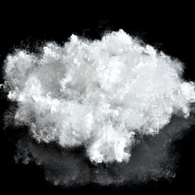 China Hollow Conjugated Siliconized Recycled PSF Environmental Protection For Filling for sale