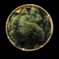 China Solid Dope Dyed Recycled Polyester Staple Fiber Multiple Colors Available for sale