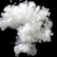 China Soft Hollow Conjugated Polyester Staple Fiber For Plush Toy / Clothing Filling for sale