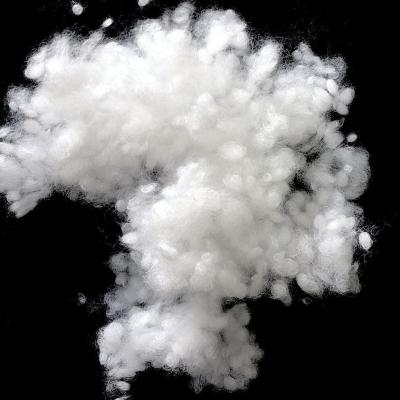 China Soft Hollow Conjugated Polyester Staple Fiber For Plush Toy / Clothing Filling for sale