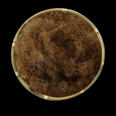 China Dope Dyed Hollow Regenerated Polyester Staple Fiber 3D×51mm For Non Woven Fabric for sale