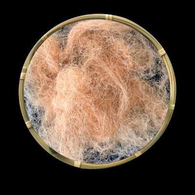 China Full Dull Dumbbell Dope Dyed Polyester Staple Fiber For Textile Industry for sale