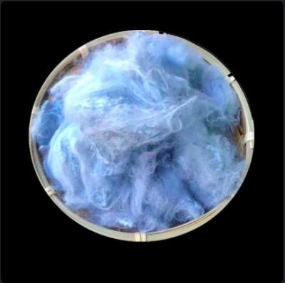 China Bright Blue Red Dope Dyed Polyester Staple Fiber 3.33 Dtex*32MM for sale
