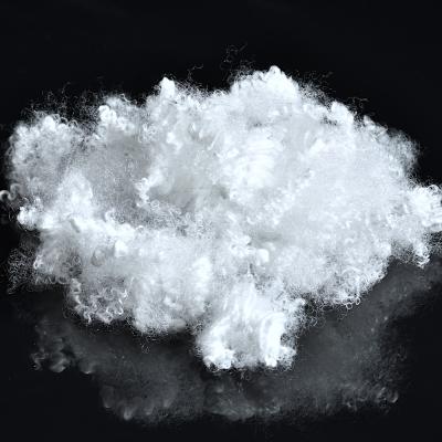 China Short Cut Polyester Staple Fiber White Color For High End Padding for sale