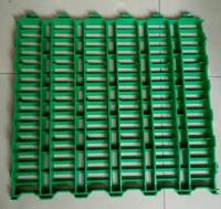 China 60x60x5cm Plastic Slatted Floor for Sheep House Flooring 600mmx600mm 2150g Durable Polypropylene for sale
