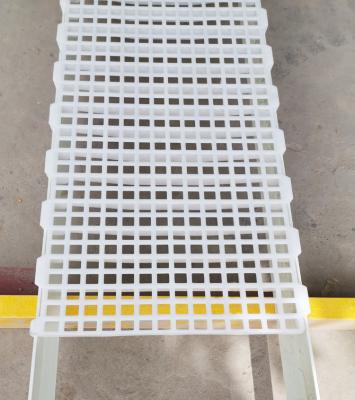 China 1200x500mm Plastic Poultry Slatted Flooring for Chicken Farm High Load Bearing 500kg for sale