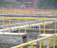 China Industrial Floor Mounted 50mm Round FRP Handrail for Sewage Treatment Plant for sale