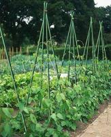China High Strength Fiberglass Plant Stakes 6.9mm to 51mm Diameter for Tomato Trees and Beans for sale