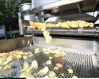 China Oil Tank and Extra Oil for Capacity Potato Chip Processing Line in Food Production for sale
