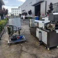 China Stainless Steel Frying Machine for Chicken Nuggets French Fries and More Commercial Grade for sale