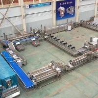 China Customized Production French Fries Production Equipment for Industrial Applications for sale