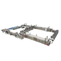 China Fully Automatic Frozen French Fries and Potato Chips Production Line 300kg Capacity for sale
