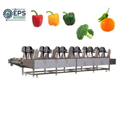 China 1500kg/H Capacity Automatic Fruit and Vegetable Processing Machine for Production for sale