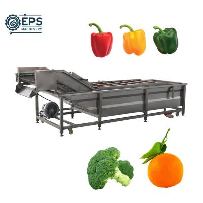 China Large-Scale Operations Automatic Fruit Washing Machine for Customized Performance for sale