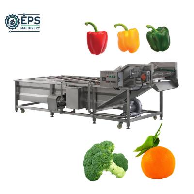 China Fully Automatic Combined Fruit Processing and Washing Machine with Customized Options for sale
