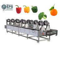 China After-sales Service Online Support Industrial Automatic Fruit Washing and Drying Machine for sale