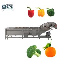 China Online Support After-sales Service Bubble Washing Machine for Tomatoes and Peppers for sale