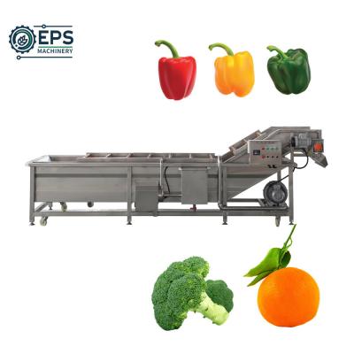 China Online Support After-sales Service Bubble Washing Machine for Tomatoes and Peppers for sale