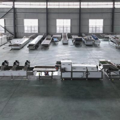 China Customized Electric Fruit and Vegetable Washing Equipment for Safe Food Preparation for sale