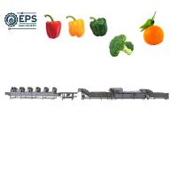 China Fully Automatic Fruit and Vegetable Washer for Food Wholesalers Meeting Your Standards for sale