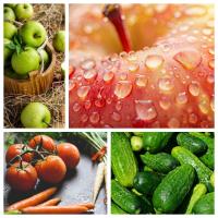 China Fully Automatic Fruit and Vegetable Washer for Food Wholesalers Meeting Your Standards for sale
