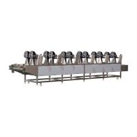 China Automatic High Pressure Fruit Vegetable Air Bubble Washing and Drying Processing Line for sale