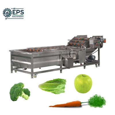 China Fully Automatic Vegetable Fruit Washing and Blanching Equipment with Customized Options for sale