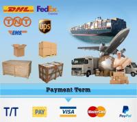 China 1500kg/H Capacity Vegetable Fruit Washing System for Cleaning of Fruits and Vegetables for sale