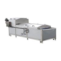 China Vegetable and Fruit Salad Washing Equipment with 1500kg/H Capacity 110V-380V Voltage for sale