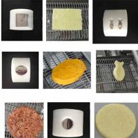 China Fully Automatic Patty Forming Machine for Thermal Processing Advanced Technology for sale