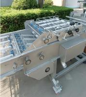 China Thermal Processing Automatic Tempura Shrimp Battering Machine for Large-scale Coating for sale
