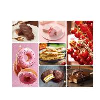 China Automatic Thermal Processing Chocolate Coating Machine for Coating Crispy Marshmallows for sale