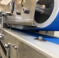 China Thermal Processing Stainless Steel Processed Meat and Fish Slicer for Slice Cutting for sale