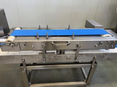 China Stainless Steel Professional Boneless Fresh Meat Slicer for Thermal Processing in Food for sale