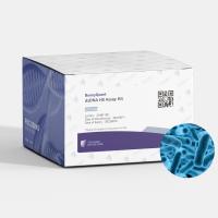 China Double-Stranded Qubit DNA Hs Assay Kit Body Fluid Next Generation Sequencing Kit for sale