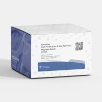 China IVDR Certified DNA Selection Beads for NGS Library Preparation for sale