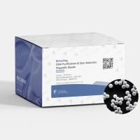 China IVDR Certified DNA Selection Beads for NGS Library Preparation for sale
