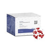 China 25 Tests Circulating Dna Isolation Kit Targeted Drug Prognosis for sale
